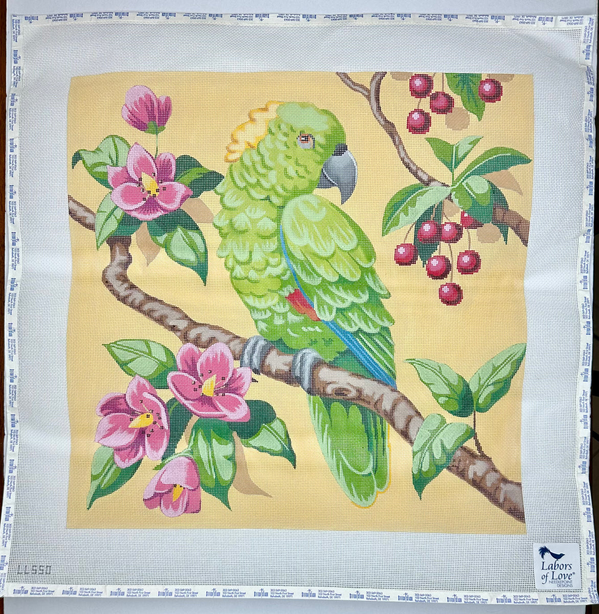 Green Parrot on 18M | Needlepoint Destashing