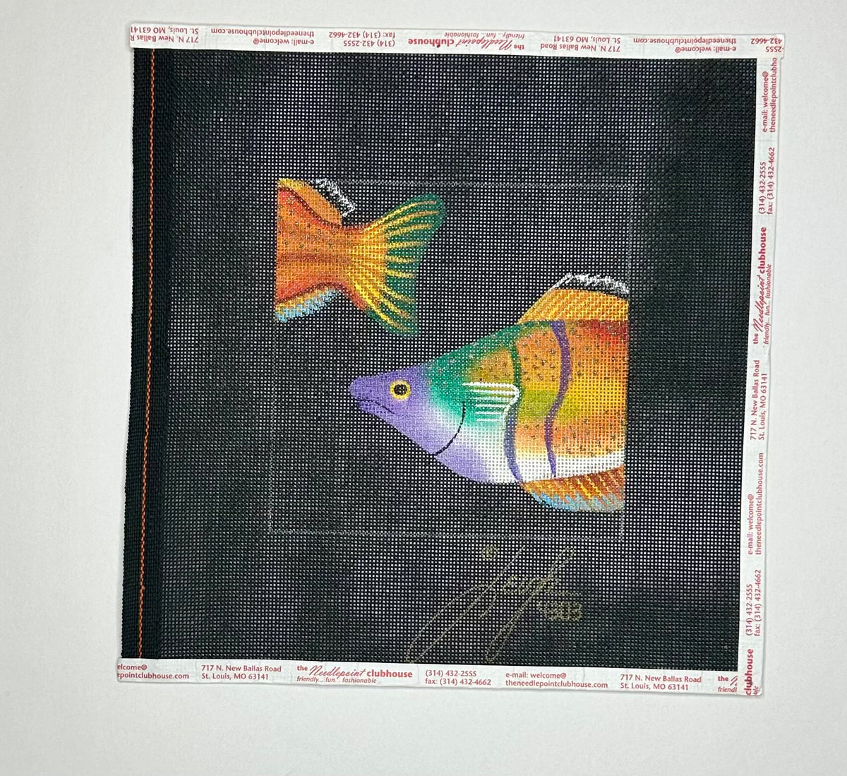 Rainbow | Needlepoint Destashing