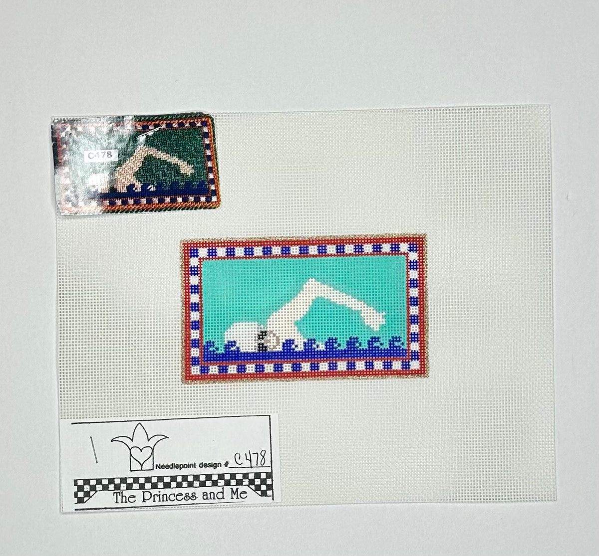 Swim Practice with stitch guide | Needlepoint Destashing
